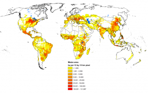 Challenges and opportunities – ARCHIVE maize.org
