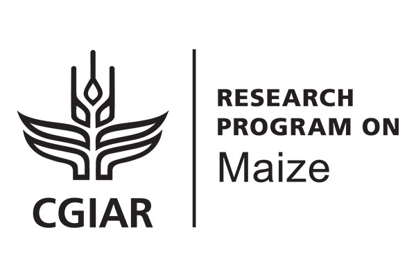 ARCHIVE maize.org – CGIAR Research Program on MAIZE