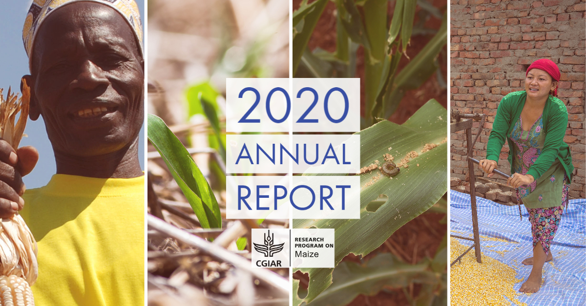 Maize Annual Report 2020 – ARCHIVE maize.org